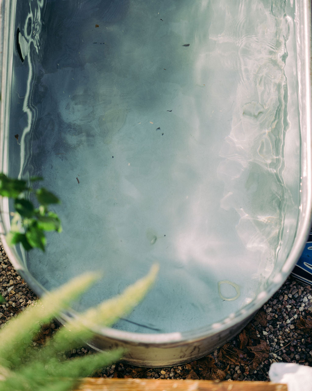 Stock Tank Pools – Salt Shack Backyards