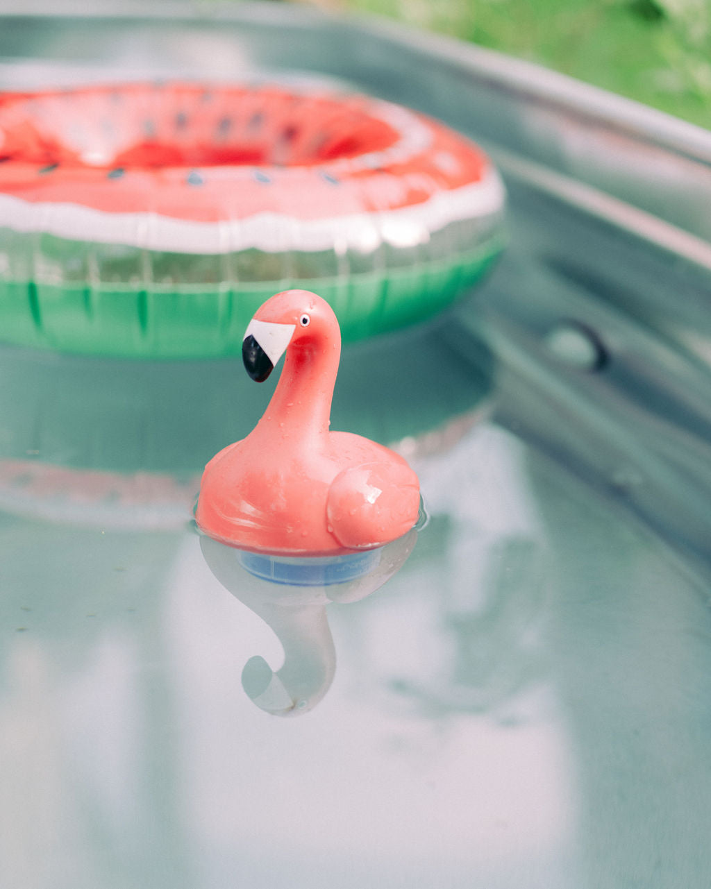 Oval Stock Tank Pool - Buy Oval Stock Tank Pool – Salt Shack Backyards